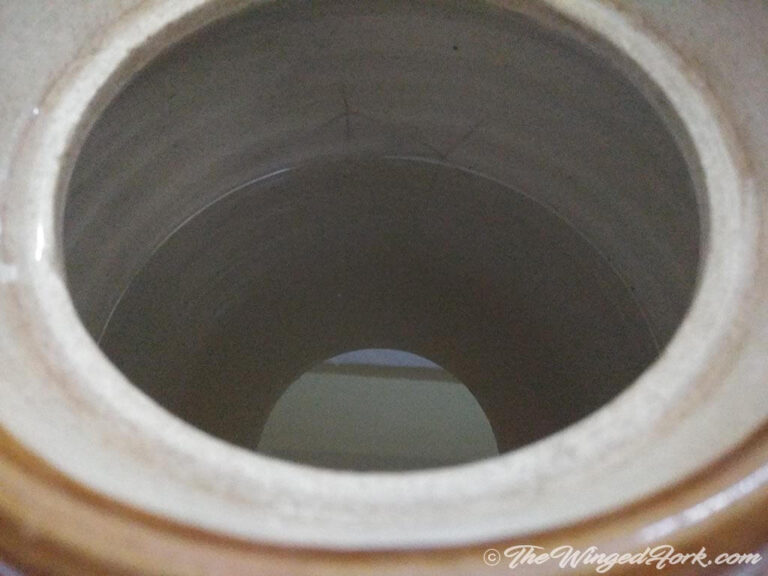 Easy Pineapple Wine Recipe